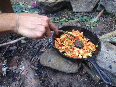 Mountain Dwellers - Forest Floor Wilderness Programs - Summer Camps ...