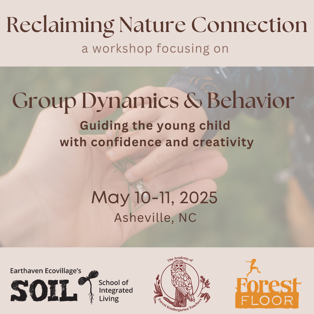 Educator Training - Forest Floor Wilderness Programs - Summer Camps ...